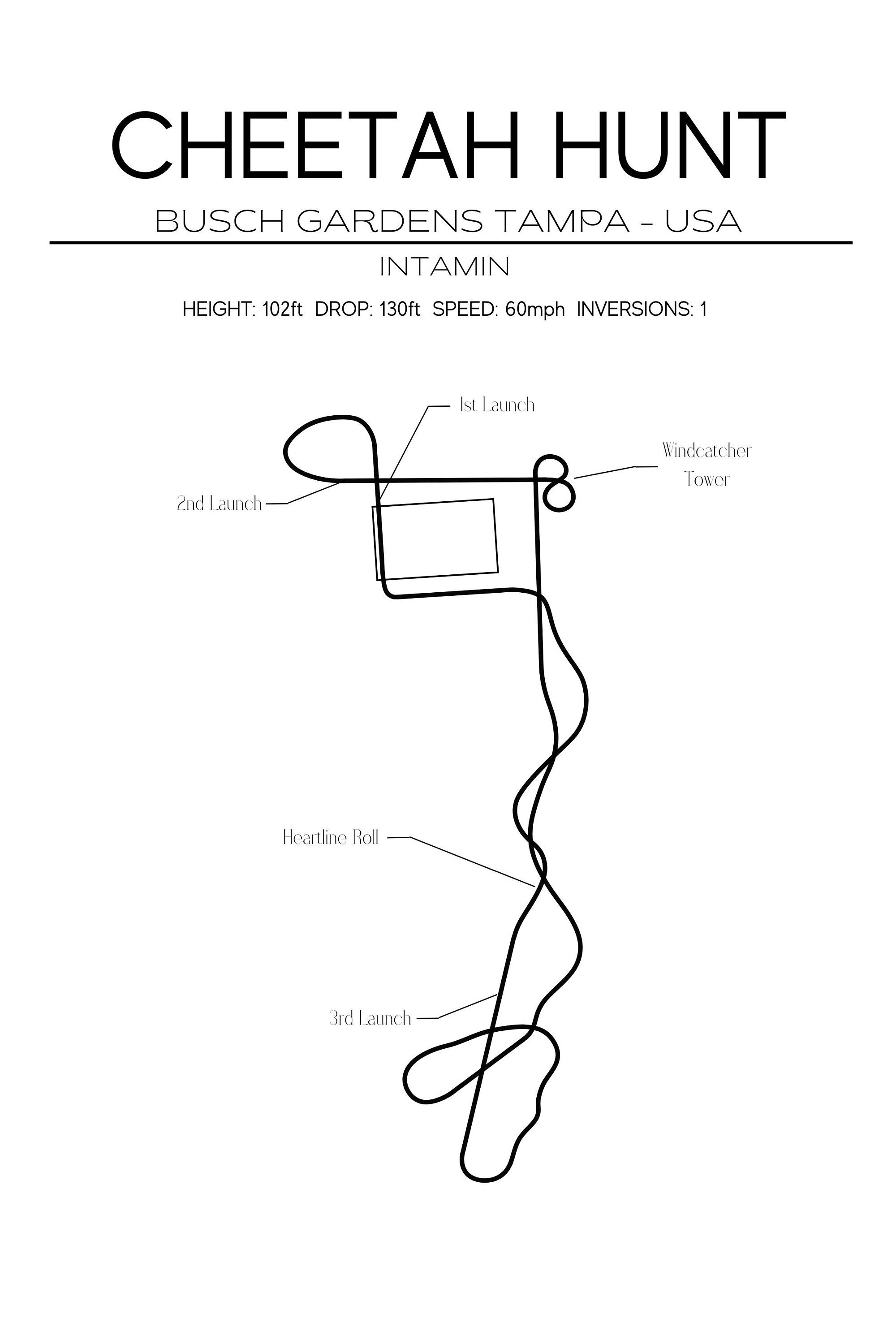 Cheetah Hunt Layout - Busch Gardens Tampa - USA - Modern Wall Art ...