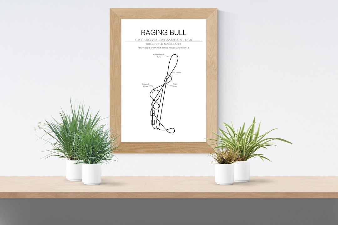 Raging Bull Layout - Six Flags Great America - USA - Modern Wall Art ...