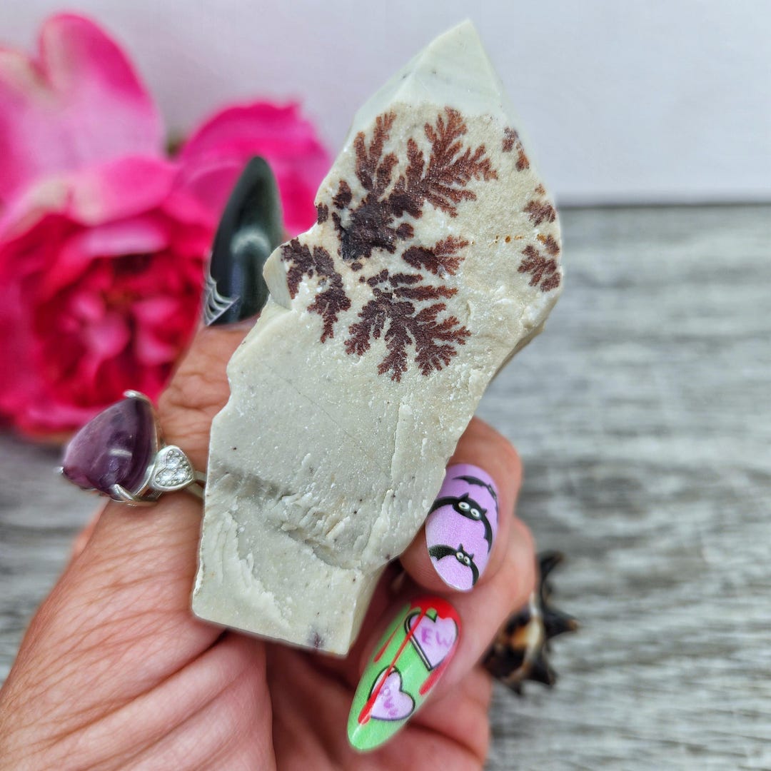 Dendritic Sandstone Freeform Has Some Polished Edges Gorgeous Specimen ...