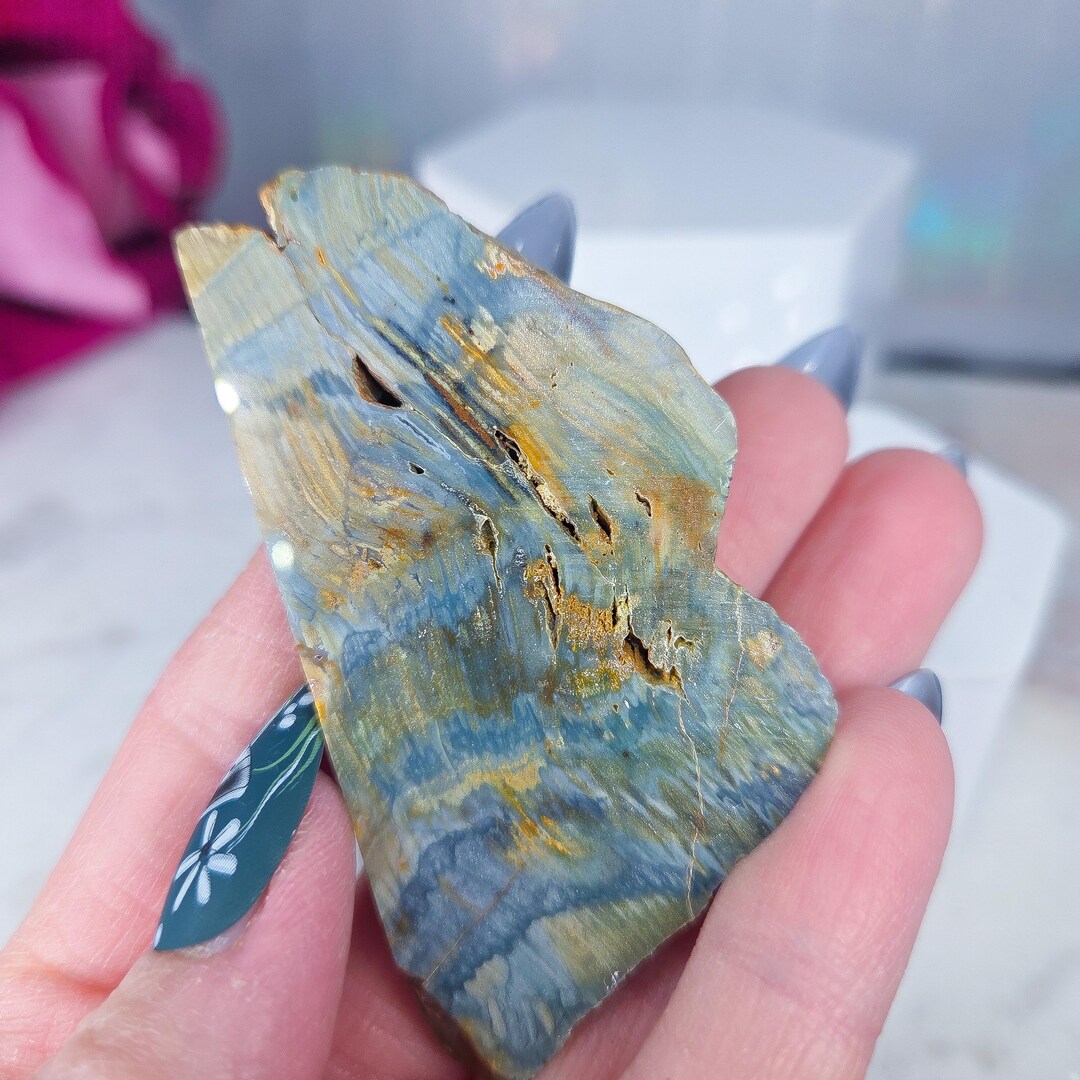 Blue Bog Wood Bogwood Petrified Wood Slab From Oregon Authentic Natural ...