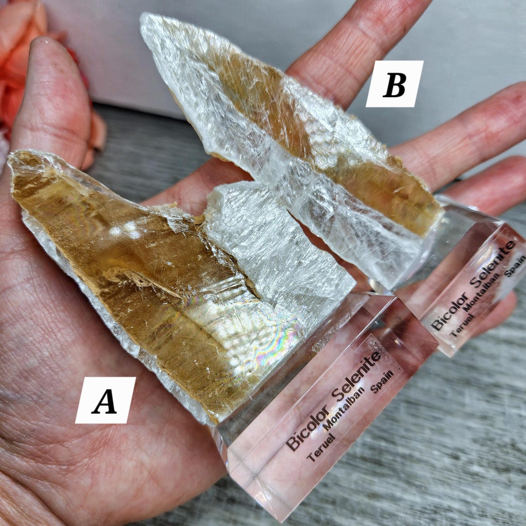 Bicolor Selenite Specimen on Base Clear Golden Yellow White Montalban ...