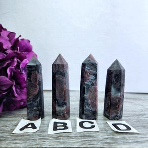 Red Garnet With Astrophyllite Towers Rare Crystal Mineral Emotional ...