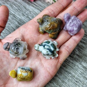 Turtles Variety of Minerals You Pick Your Piece Carving Sea Sealife ...