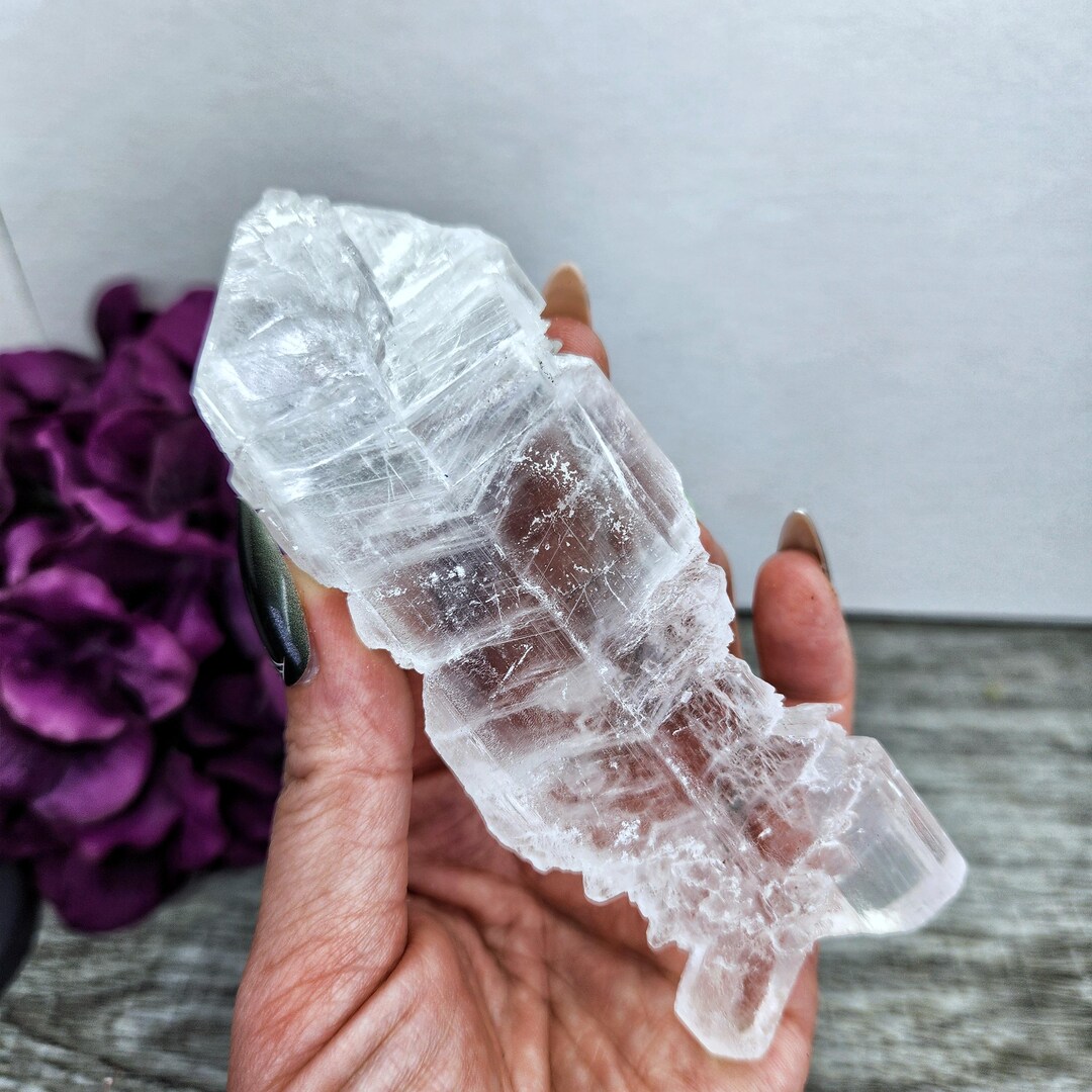 Fishtail Selenite Mexico Rare Looks Like A FISH Hard to Find Statement ...
