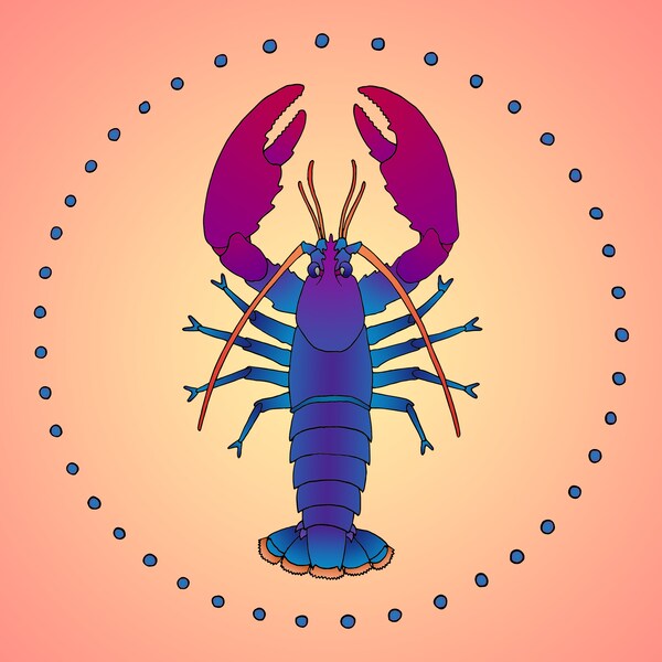 Blue Lobster Birthday Card - Etsy