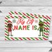 Elf Name Game, What's Your Elf Name, Christmas Party Game, Printable ...