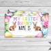 Easter Bunny Name Game, What's Your Easter Name, Easter Game, Printable ...