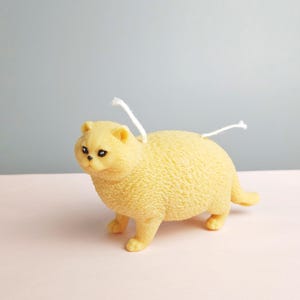 Fat Cat Candle | Chubby Cat｜pet Candle｜scented Candle | Cat Lover Gift ...