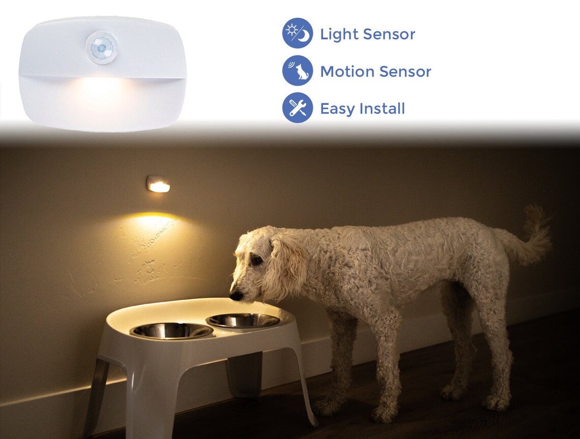 Dog Bowl Light, Dog Motion Light - Etsy