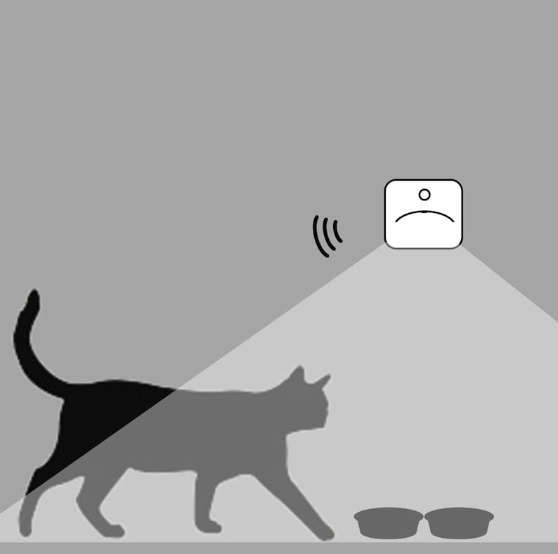 Cat Dish Light, Cat Motion Light - Etsy