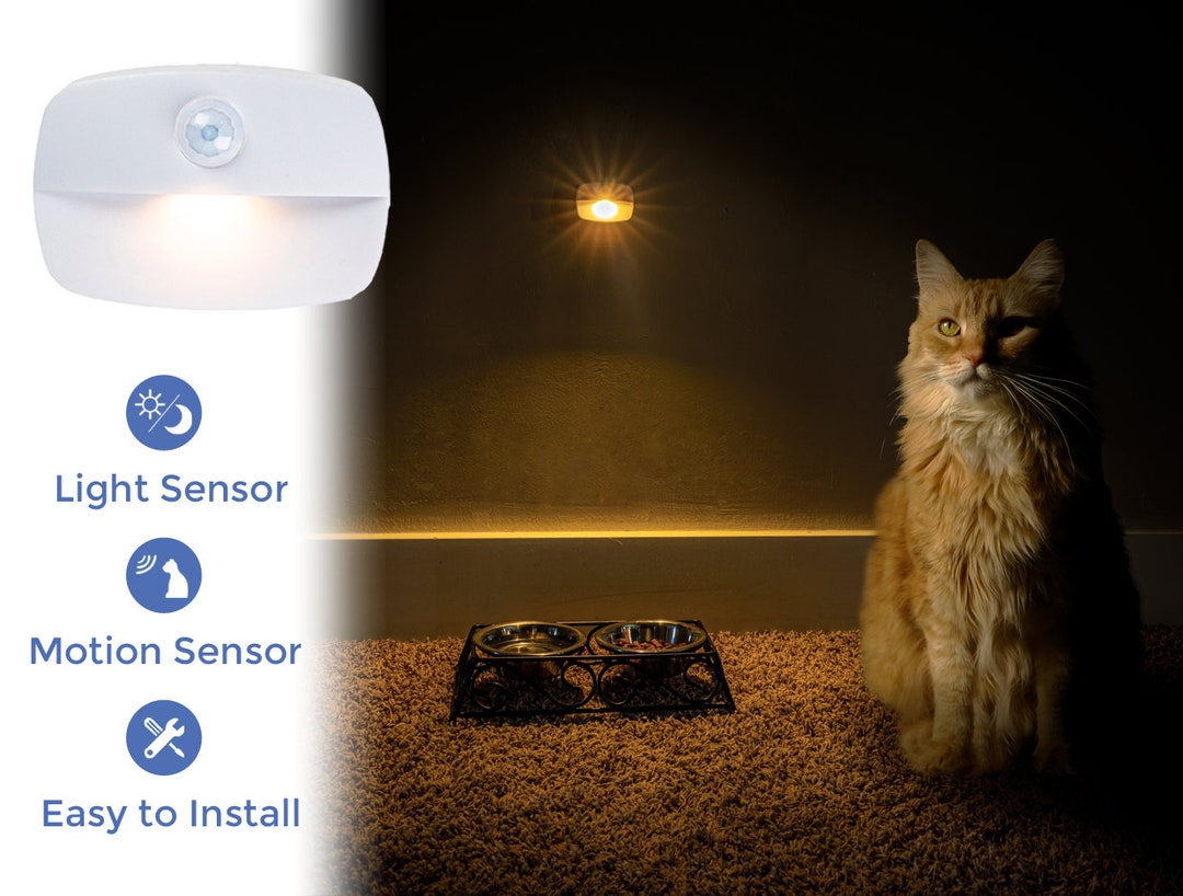 Cat Dish Light, Cat Motion Light - Etsy
