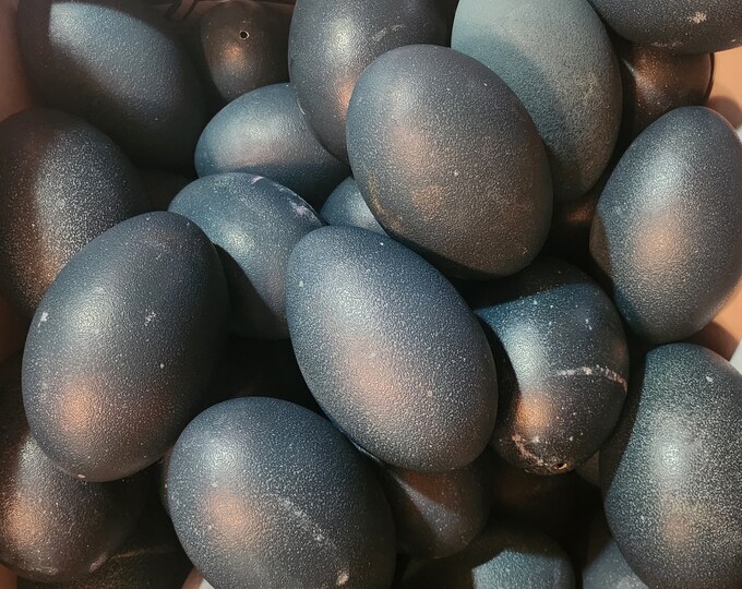 1-less Than Perfect EMU Shells for Sale - Etsy