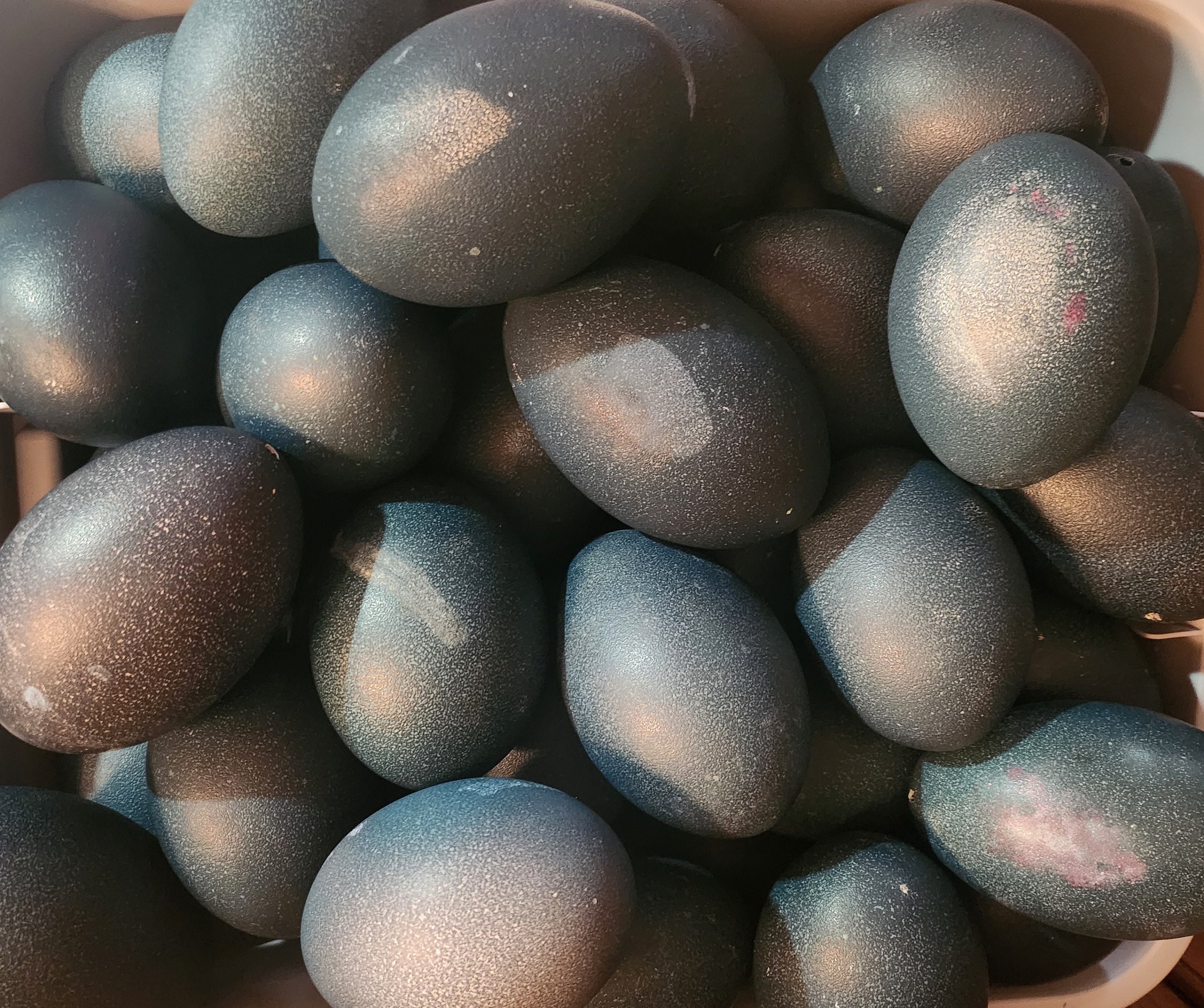 5-less Than Perfect EMU Shells - Etsy