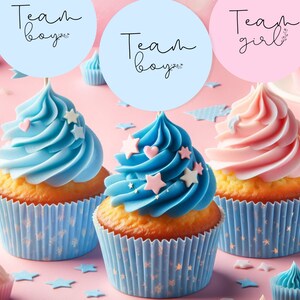 Team Girl Team Boy DIY Baby Reveal Pink and Blue Cupcake Toppers for ...