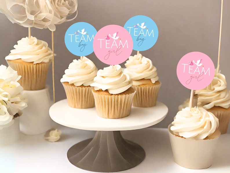 Team Girl or Team Boy Gender Reveal Cupcake Toppers Pink and Blue Team ...