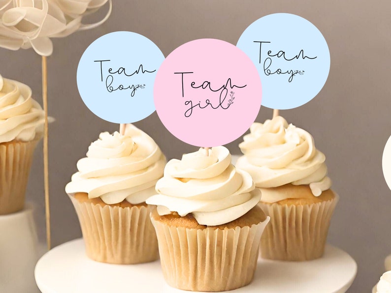 Team Girl Team Boy DIY Baby Reveal Pink and Blue Cupcake Toppers for ...