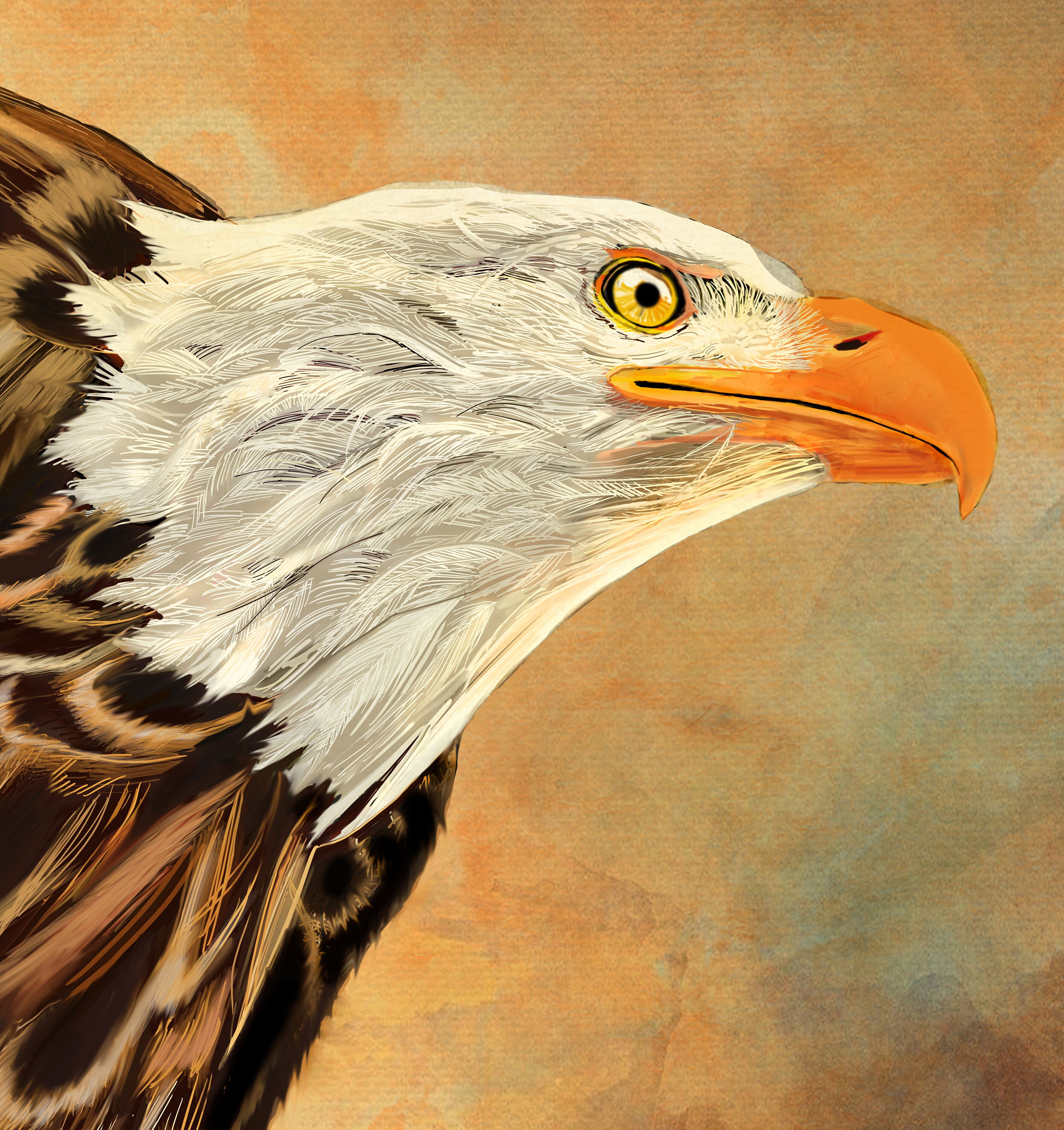 American Bald Eagle Wildlife Art Print, Patriotic Wall Decor, Birds of ...