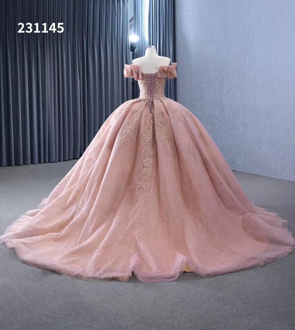 Champagne Pink Sparkly Dress,fairytale Ball Gown Princess Sparkly Pink ...