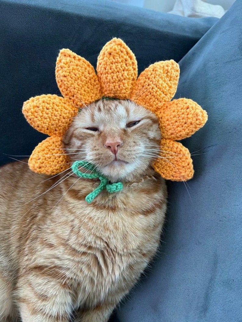 Crochet Cat Bonnet Pattern PDF | Floral Pet Hat - Etsy Canada