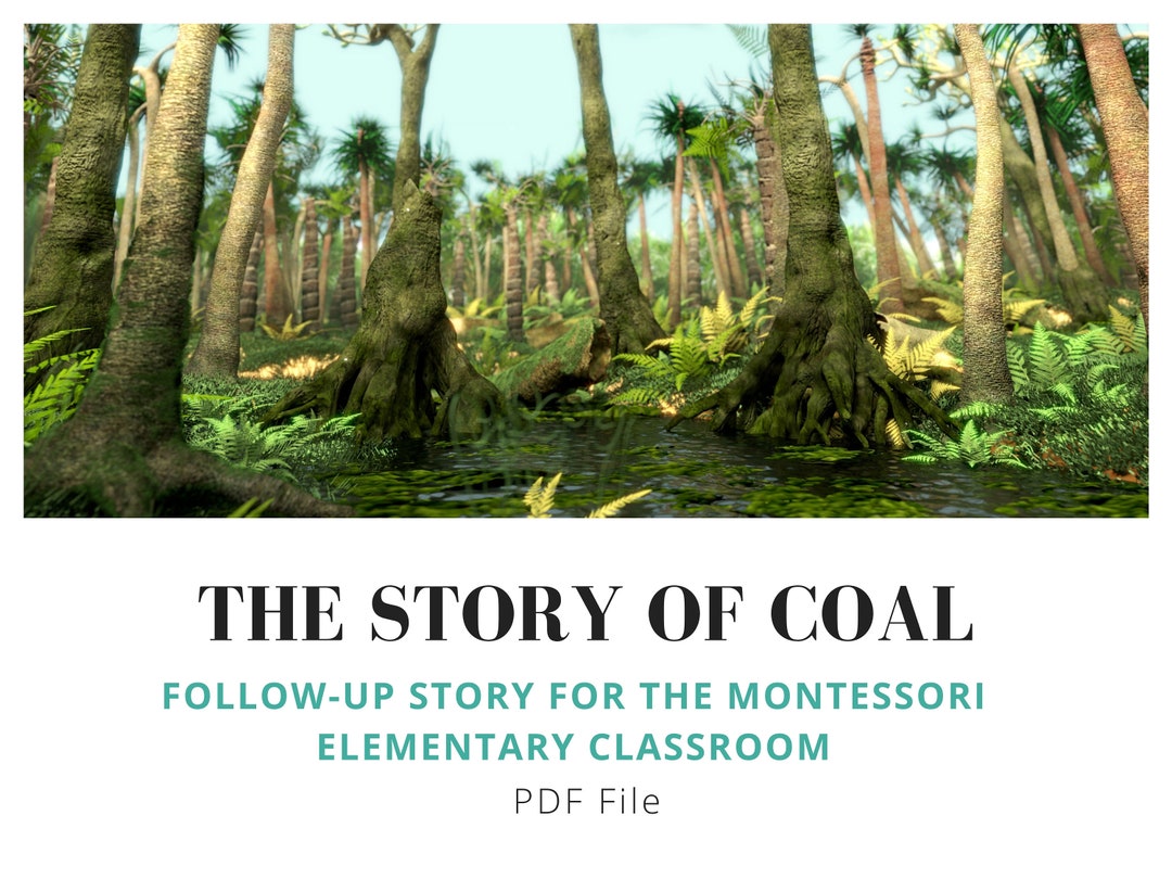 Montessori Second Great Story Follow-up: the Story of Coal - Etsy
