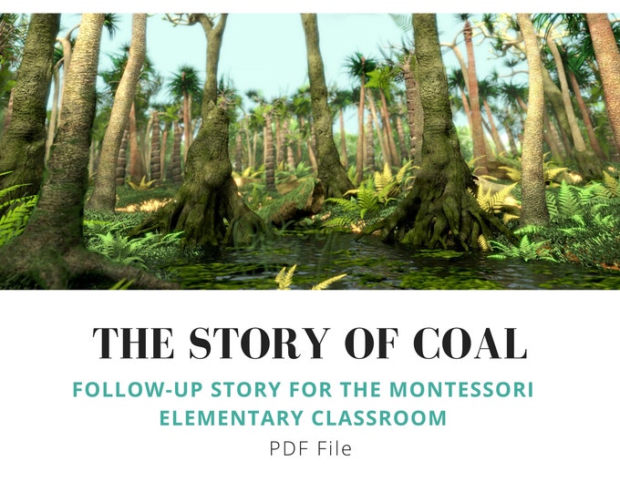 Printable Timeline of Life Montessori Second Great Lesson, the Coming ...