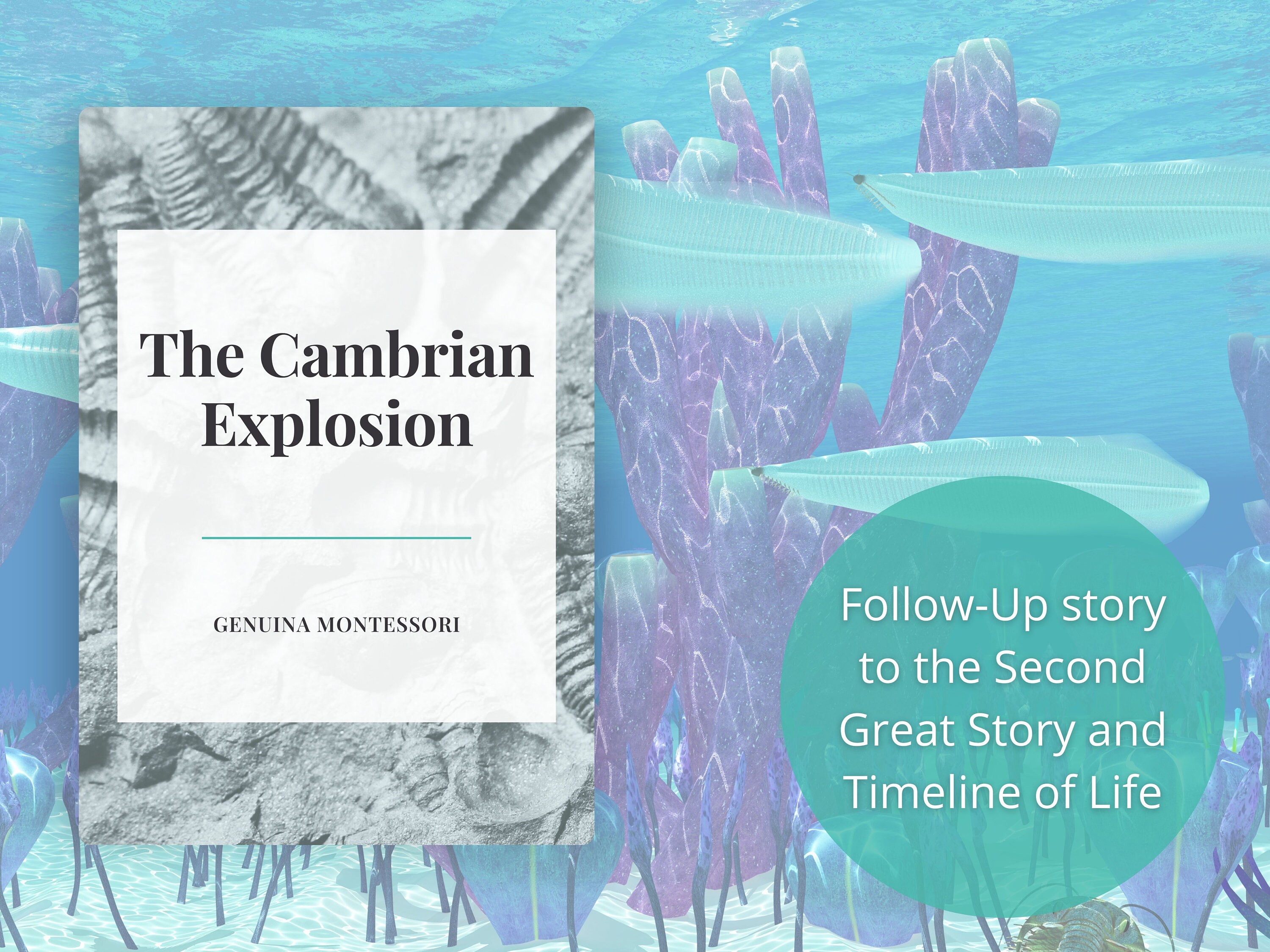Montessori Second Great Story Follow-up: the Cambrian Explosion ...