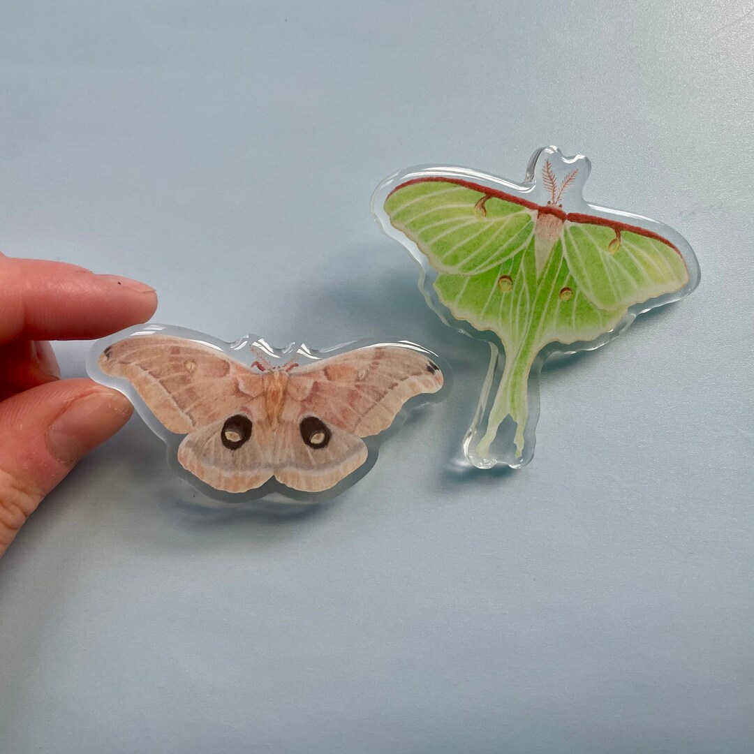 Luna Moth & Polyphemus Moth Acrylic Pins: Nature Lover Gift - Etsy