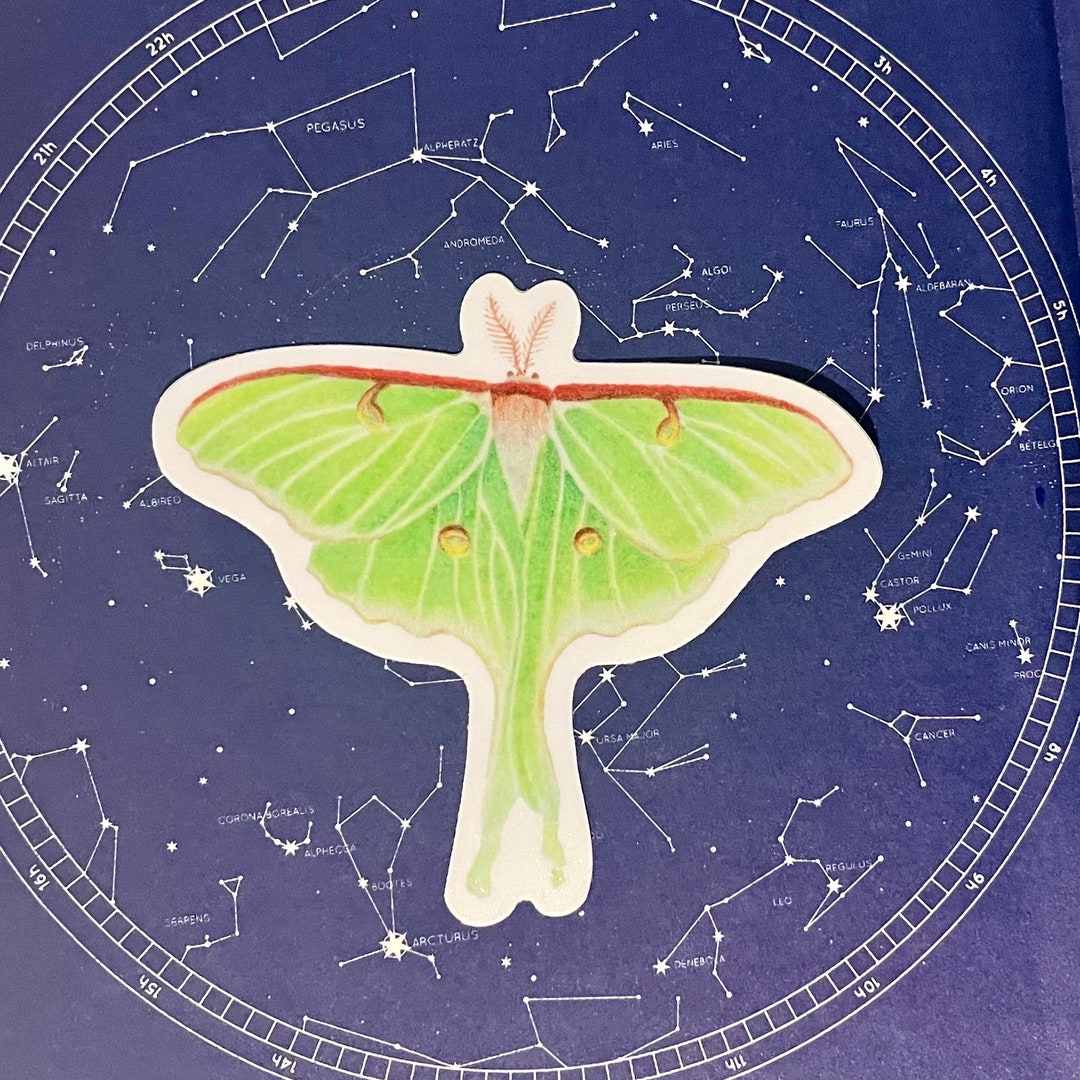 Moth Sticker Luna Moth Sticker Moth Lover Gift Entomologist Sticker for ...