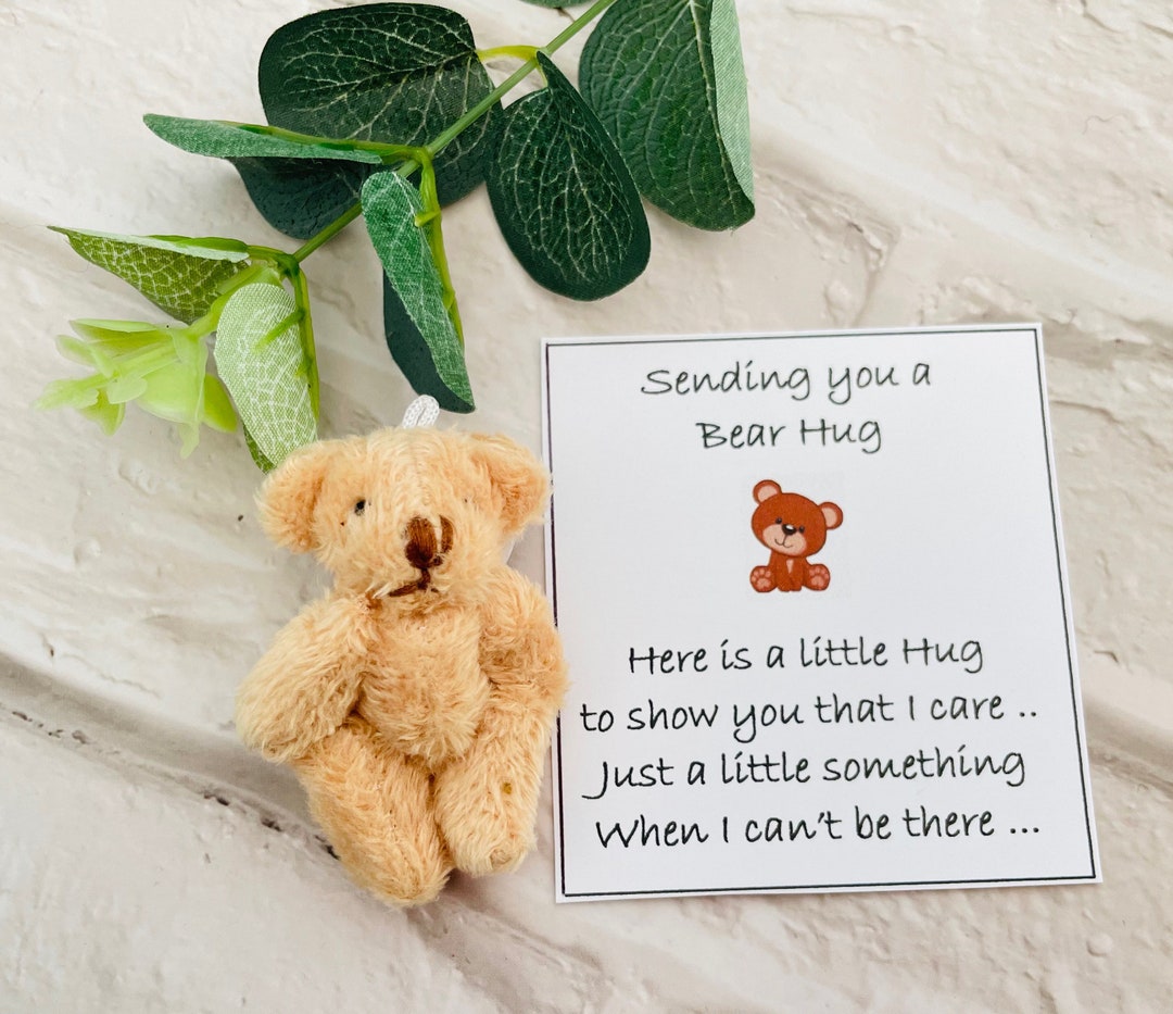 A Little Pocket Bear Hug, Ready to Give Bear Hugs to Whoever Needs One ...