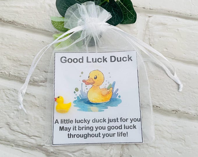 Good Luck Duck Good Luck Gift Cute Duck Gift Desk Buddy Cute Little ...