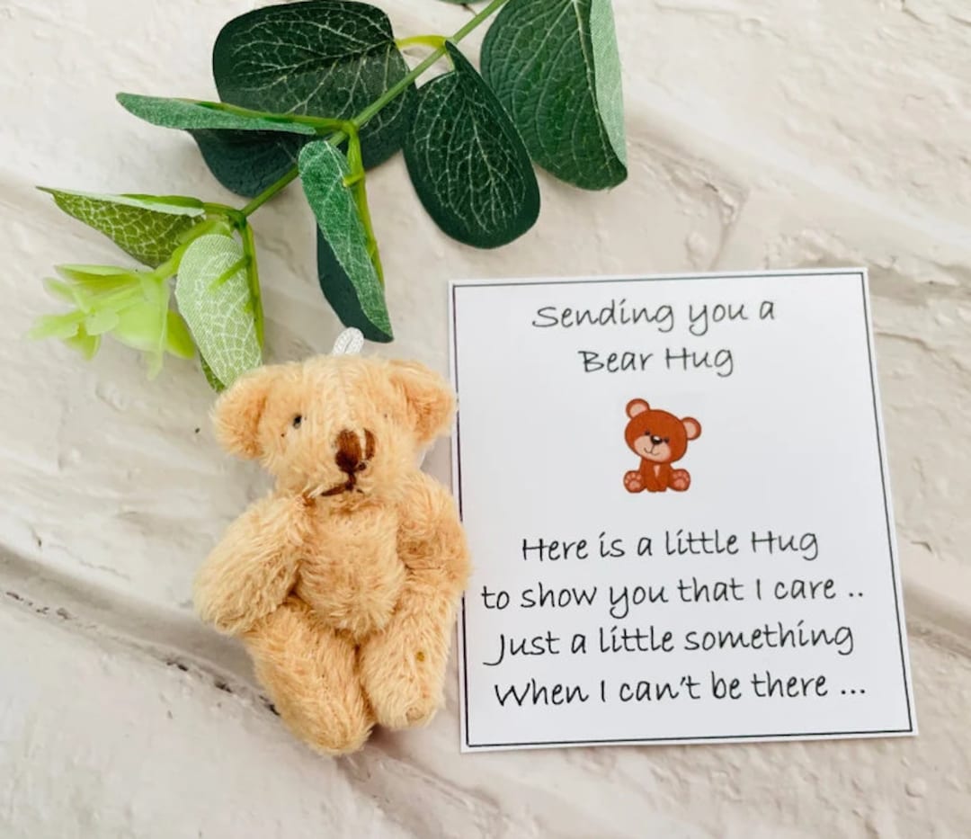 A Little Pocket Bear Hug, Thinking of You Gift, Ready to Give Bear Hugs ...