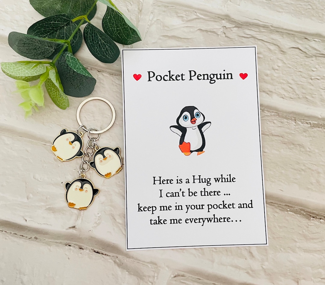 Pocket Hug, Pocket Penguin Keyring, Cute Animal Gift, Thinking of You ...