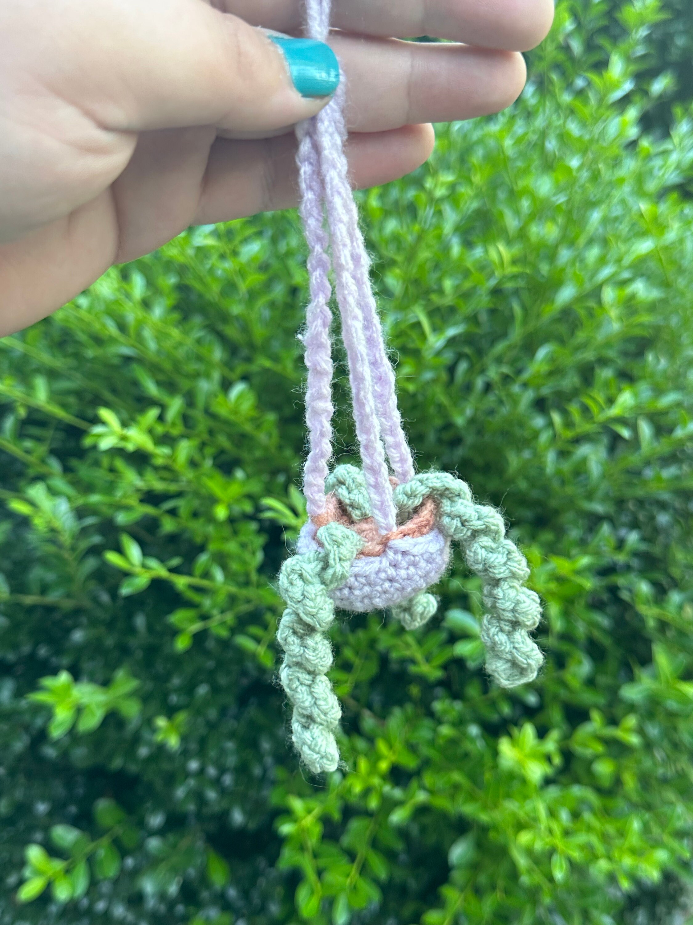 Mini Crochet Vine Plant - Etsy