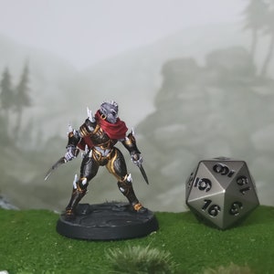 Female Drow Assassin Painted Miniature Dungeons & Dragons Pathfinder ...