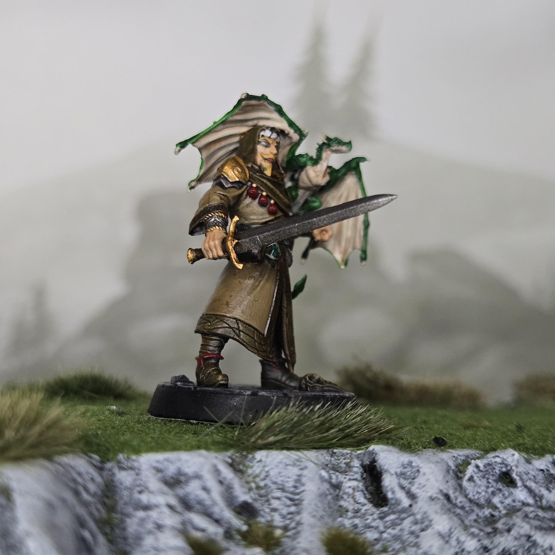 Dragon Master Fighter Mage With Sword and Dragon Familiar on 25mm Base ...