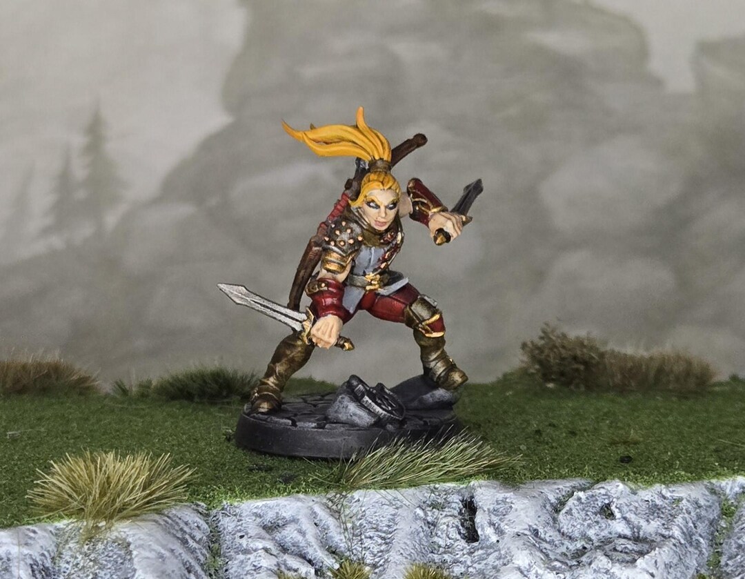 Female Rogue Thief Dual Daggers on 25mm Base Painted Miniature Dungeons ...