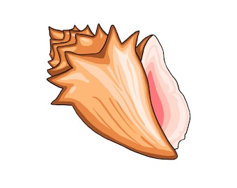 Conch Shell Clipart - Etsy