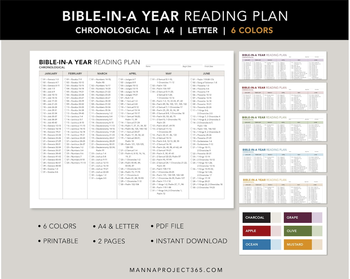 Chronological Bible-in A Year Reading Plan 1 Year Bible - Etsy