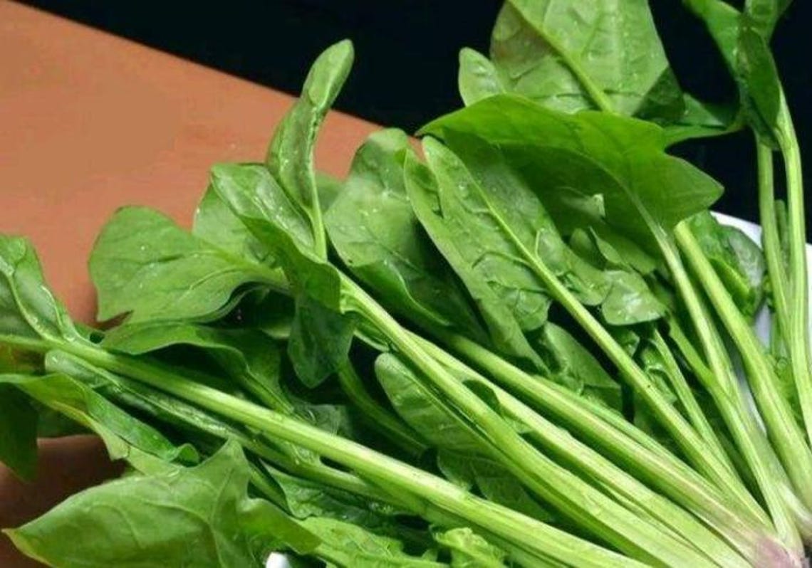Four Seasons Giant Spinach Herb Garden Seeds for Planting About 100 ...