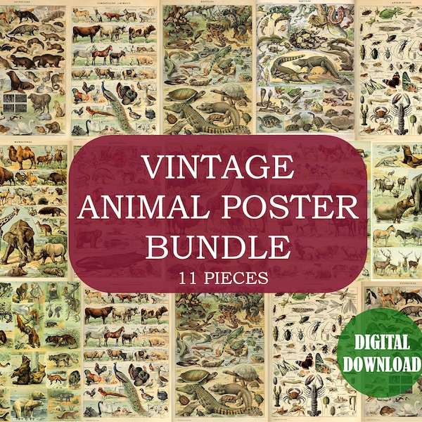 Animals Poster - Etsy