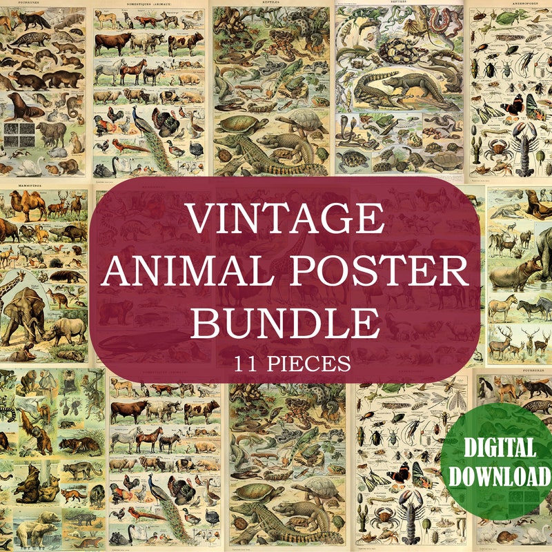 Animal Poster - Etsy