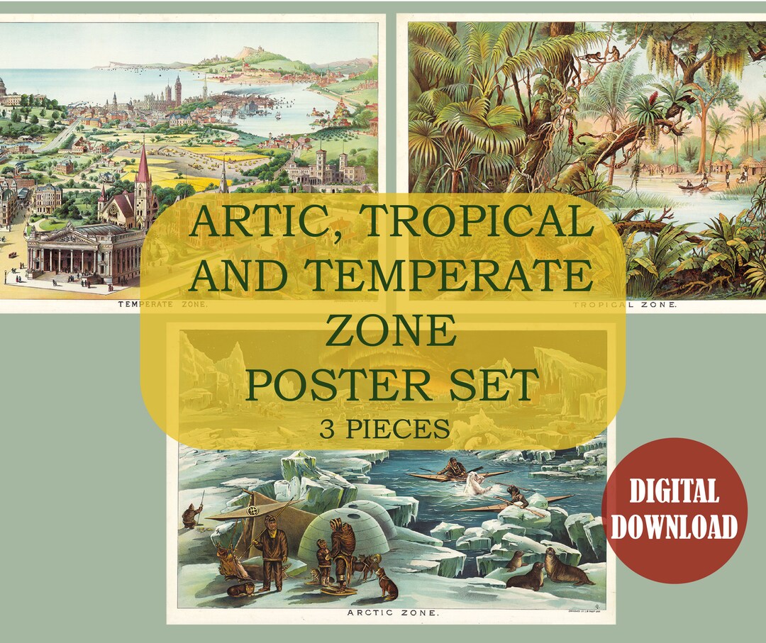Artic , Tropical and Temperate Zone Poster Set of 3 Chart, 1893, Retro ...