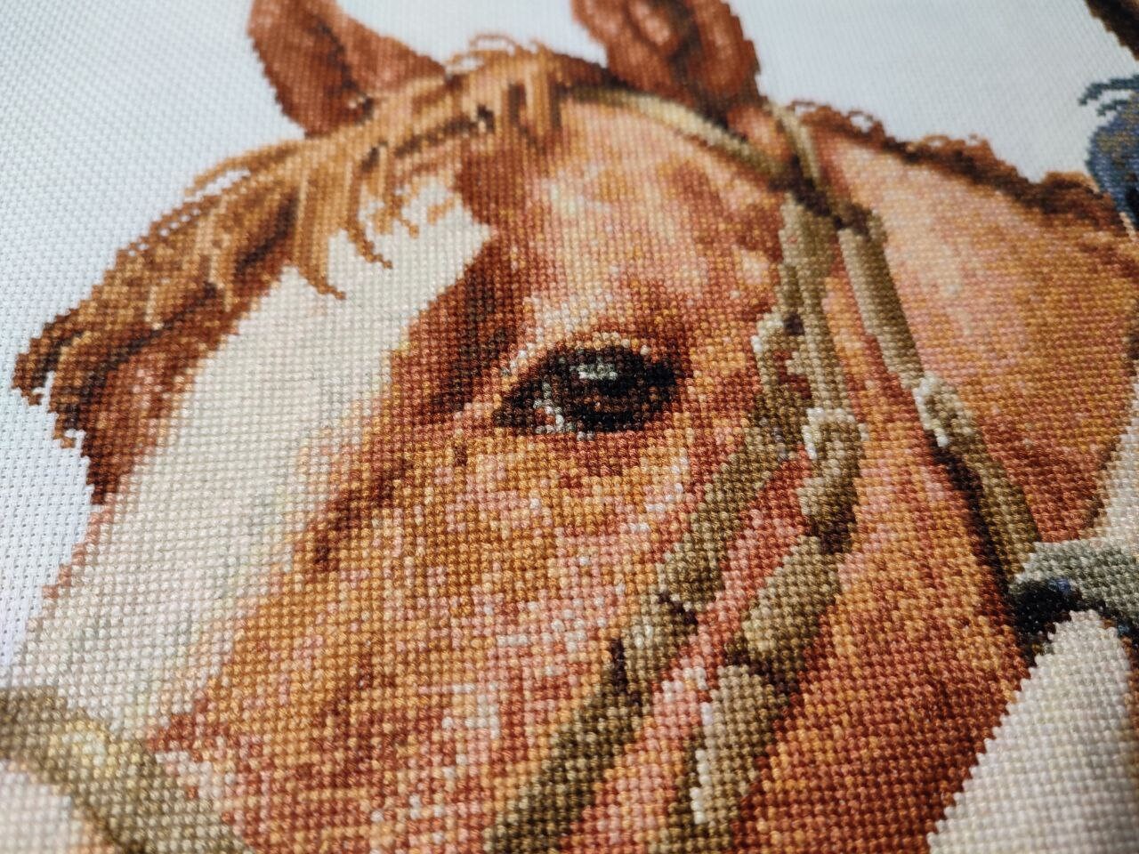 Vintage Horses Completed Cross Stitch Antique Embroidery Exclusive ...