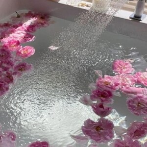 100| PCS Angel Core Aesthetic Wall Collage Kit | Dreamy Wall Art ...