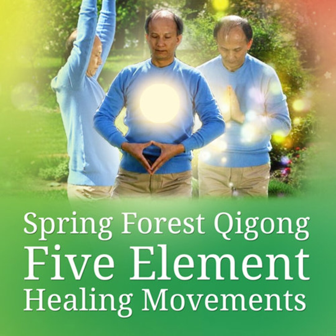 Five Element Movements Manual - Etsy