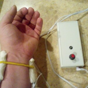 Bob Becks Blood Electrifier/micropulser Beck Protocol - Etsy