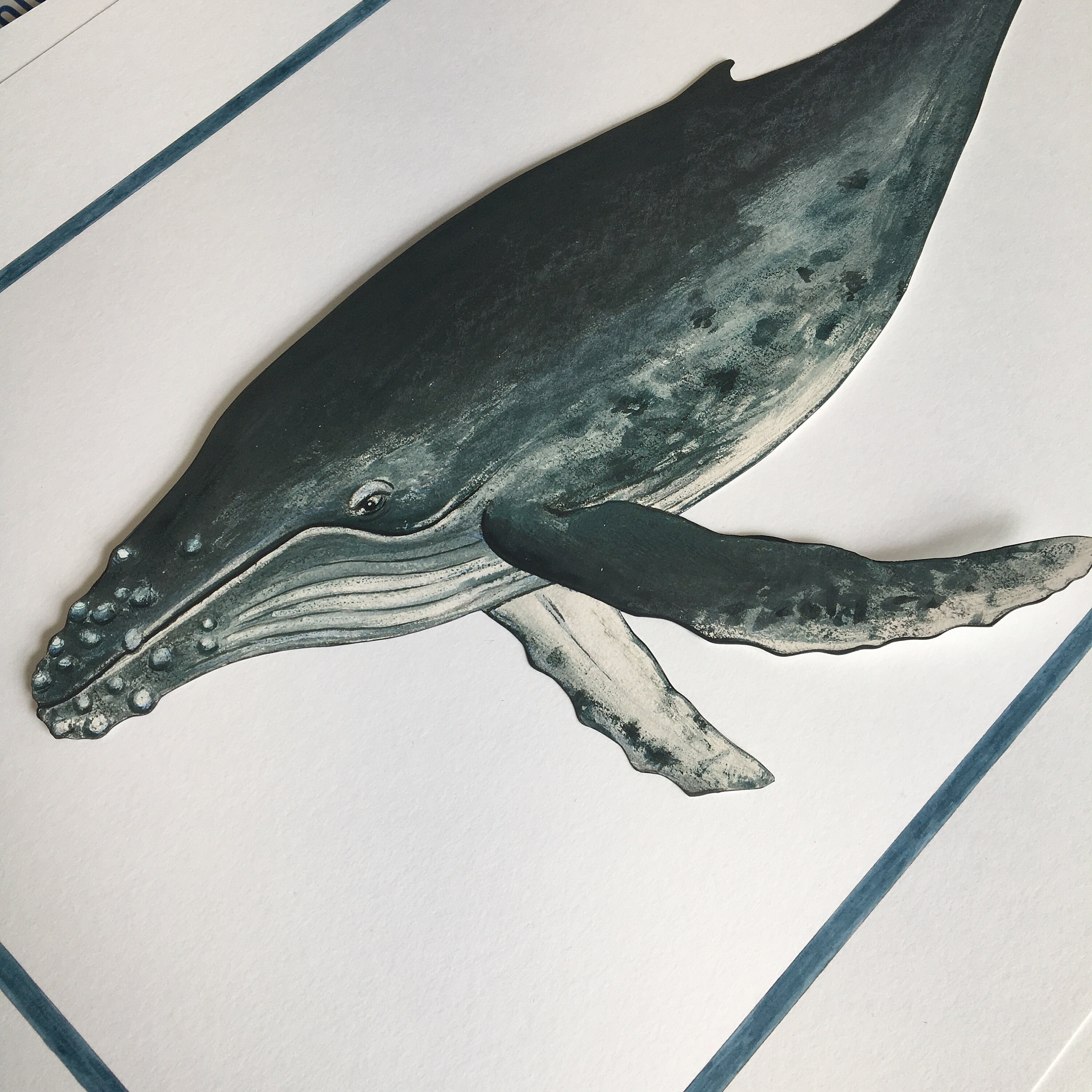 Large Humpback Whale Limited Edition Collage - Etsy