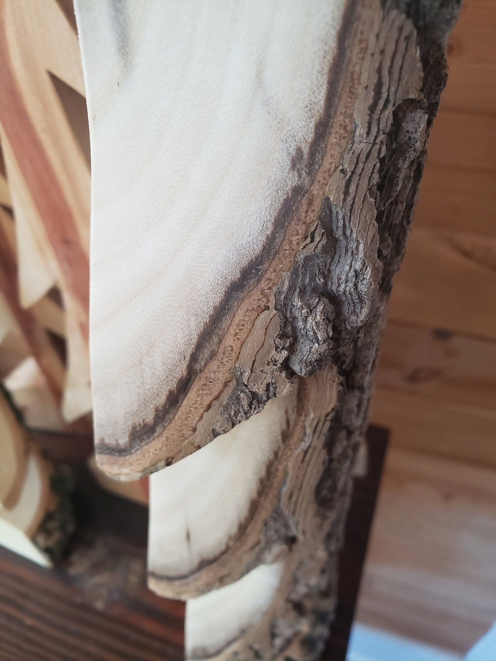 Rustic Handmade Carved Live Edge Pine Trees With Bark - Etsy