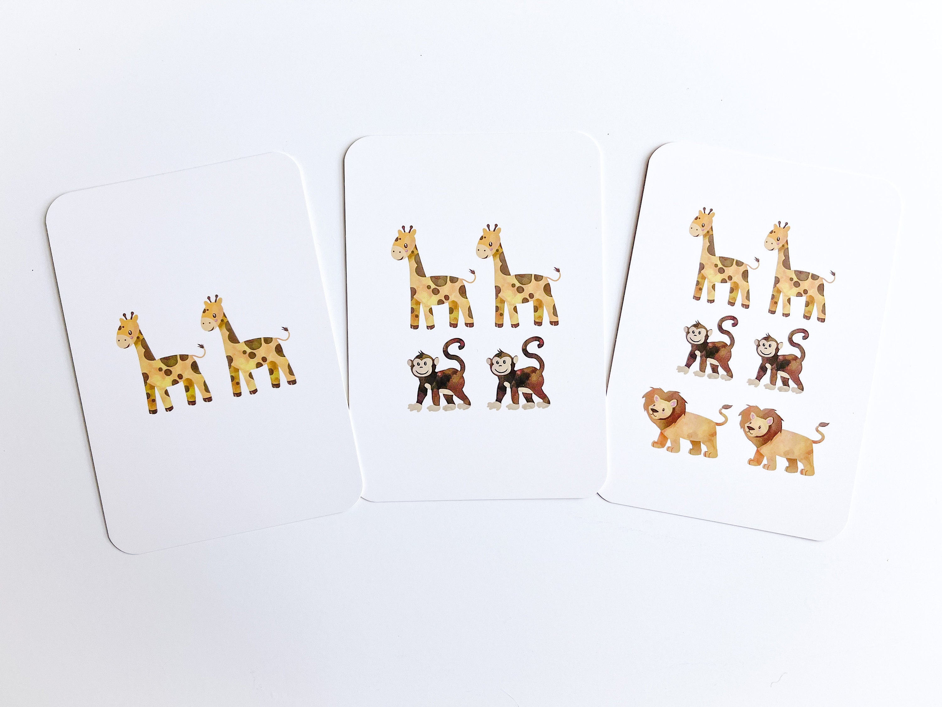 Noah's Ark Skip Counting by 2s Flash Card Set, Educational Flash Cards ...