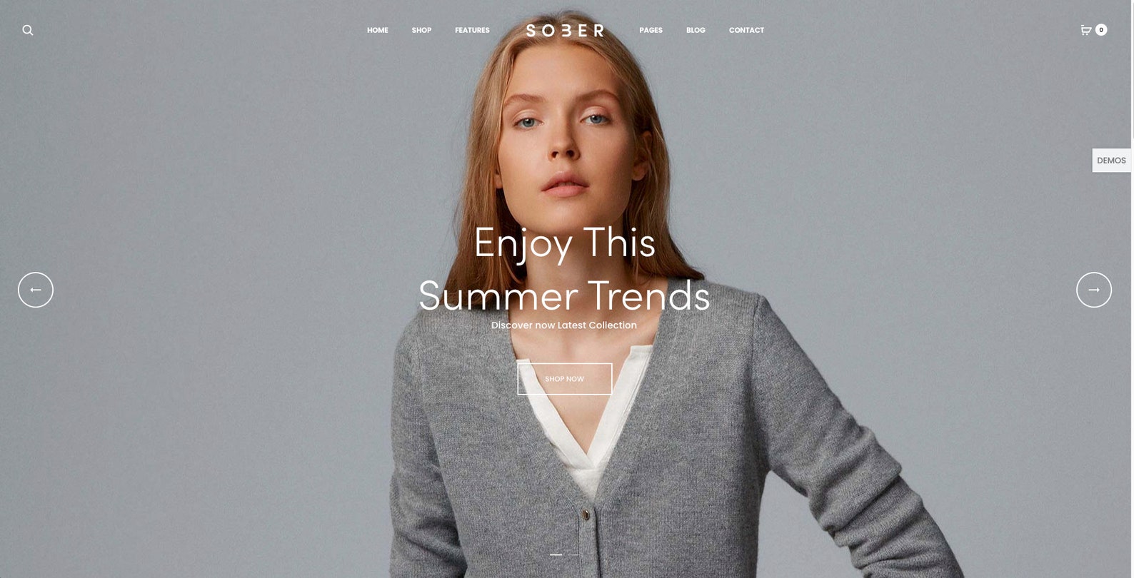 Fashion Wordpress Theme - Etsy